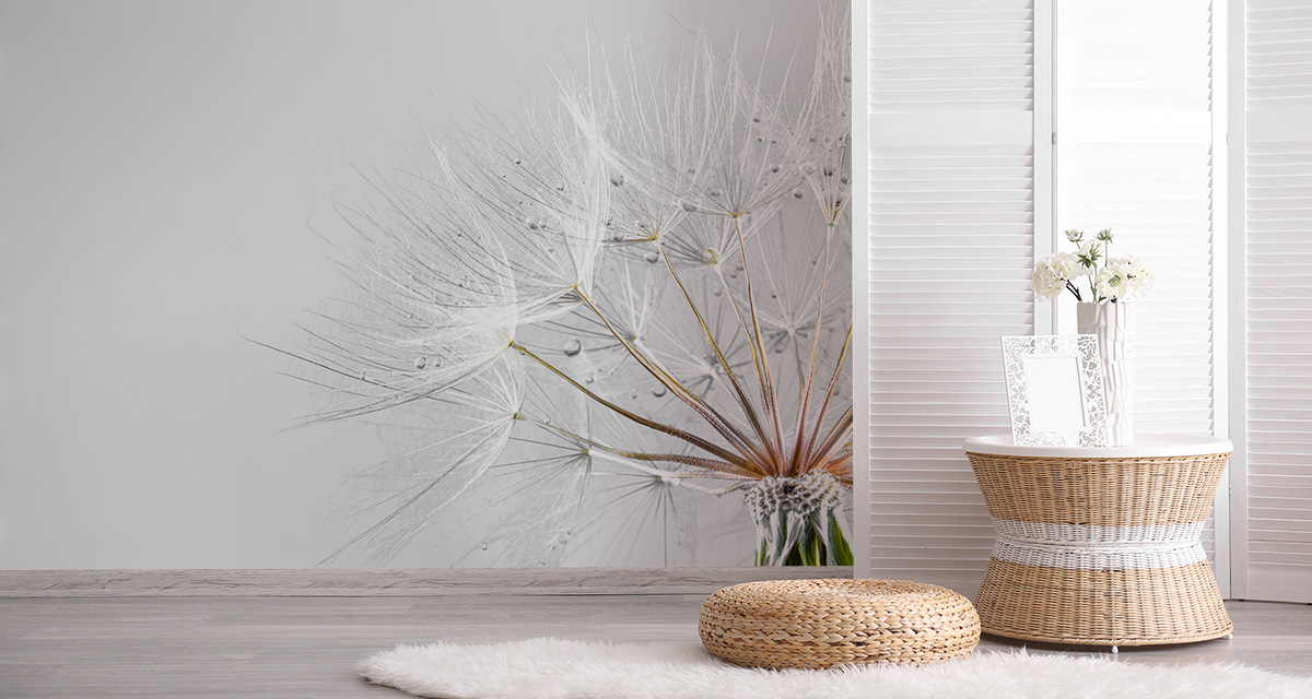 VLIES FOTOTAPETE XXL TAPETE Pusteblume Natur BLUMEN 8583 | eBay